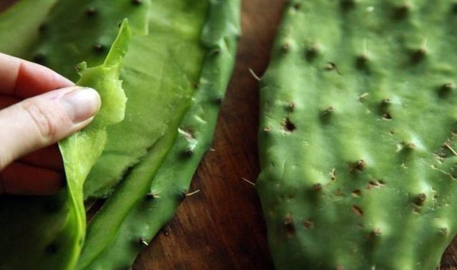 Solo 1 Hoja De Nopal Cura Hígado, Colon, Diabetes, Corazón Y Hasta Más ...